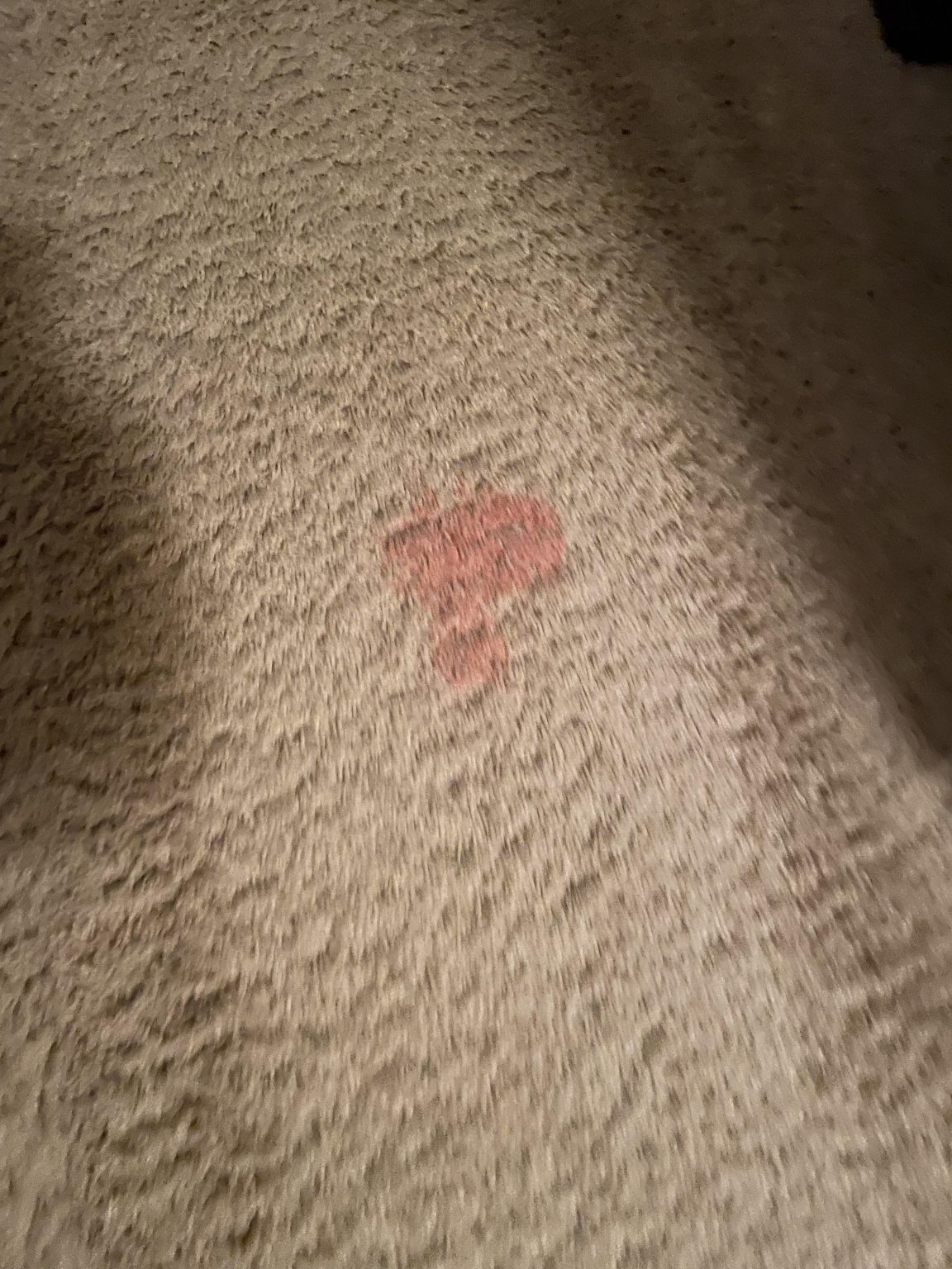 Guide: How To Get Red Gatorade Out Of Carpet – Nikki Beach Thailand